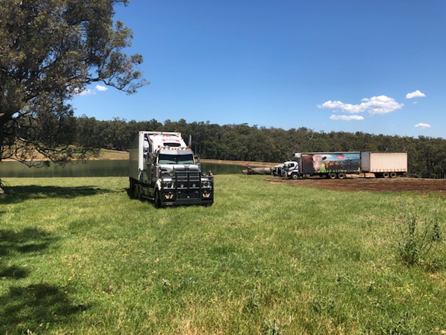 Tree Planting! - Nannup TrufflesNannup Truffles