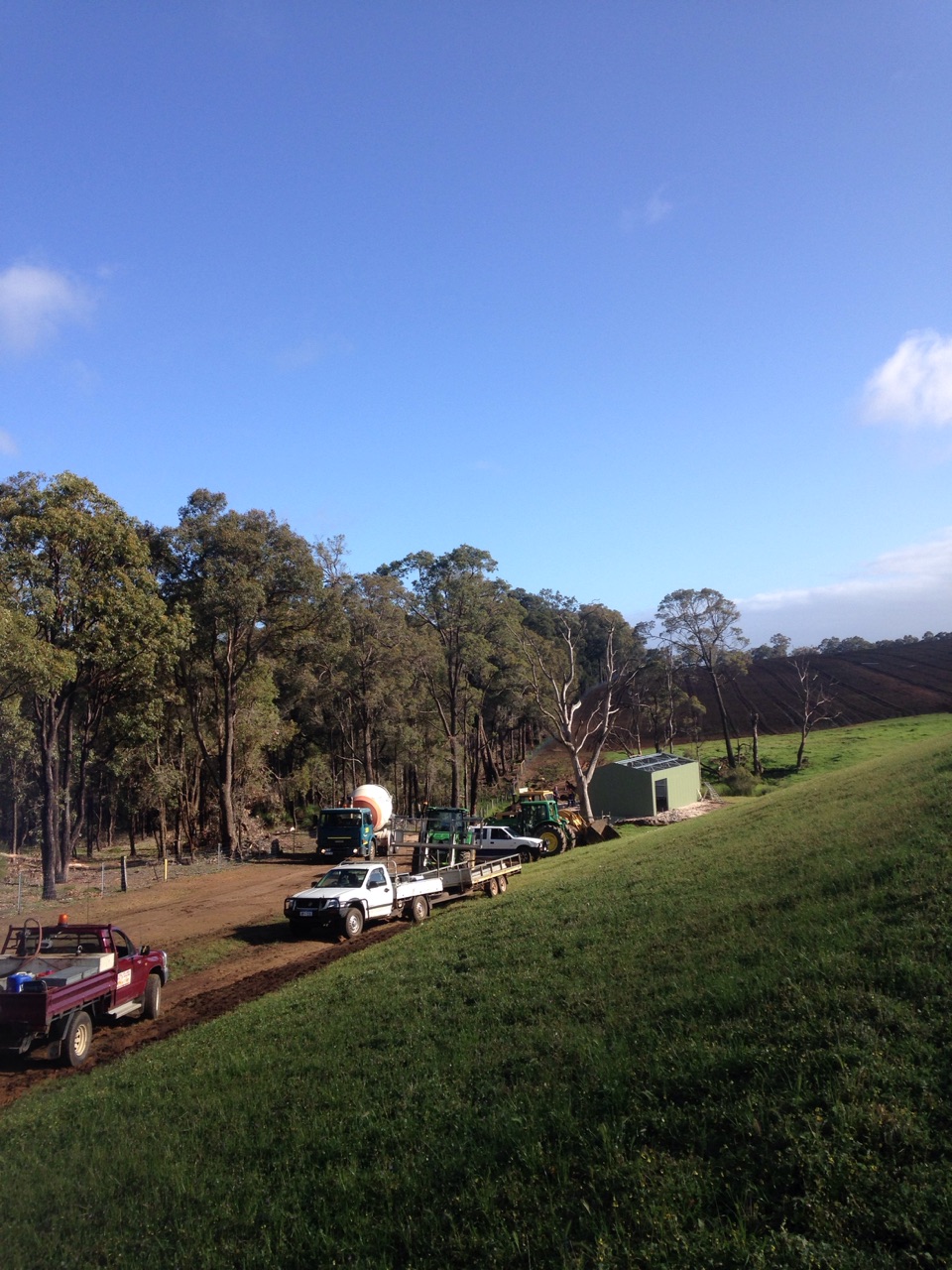Tree Planting! - Nannup TrufflesNannup Truffles